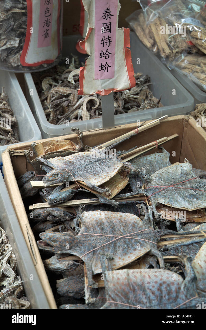 dh Ko Shing Street SHEUNG WAN HONG KONG Dried food street shop stall ...