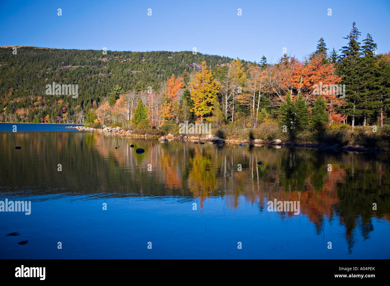 Fall Foliage Reflection Stock Photo - Alamy