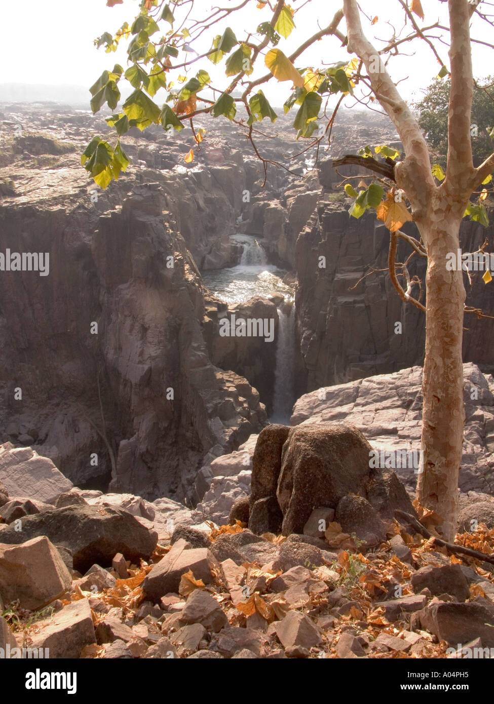 MADHYA PRADESH INDIA November The Ken River falls into a deep granite ...