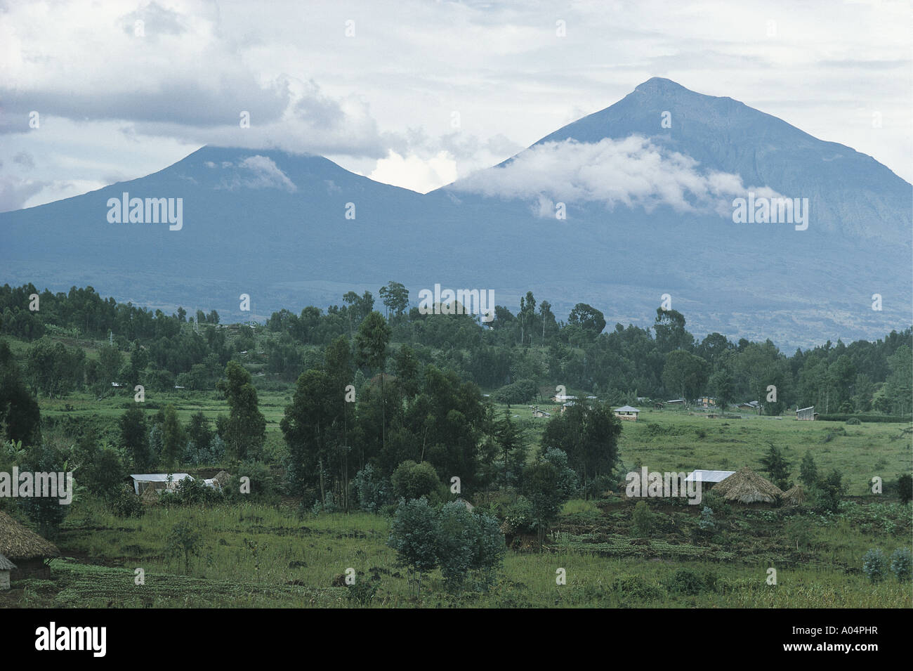 The mountains of Muhabura and Sabinio Parc des Volcans Rwanda central ...