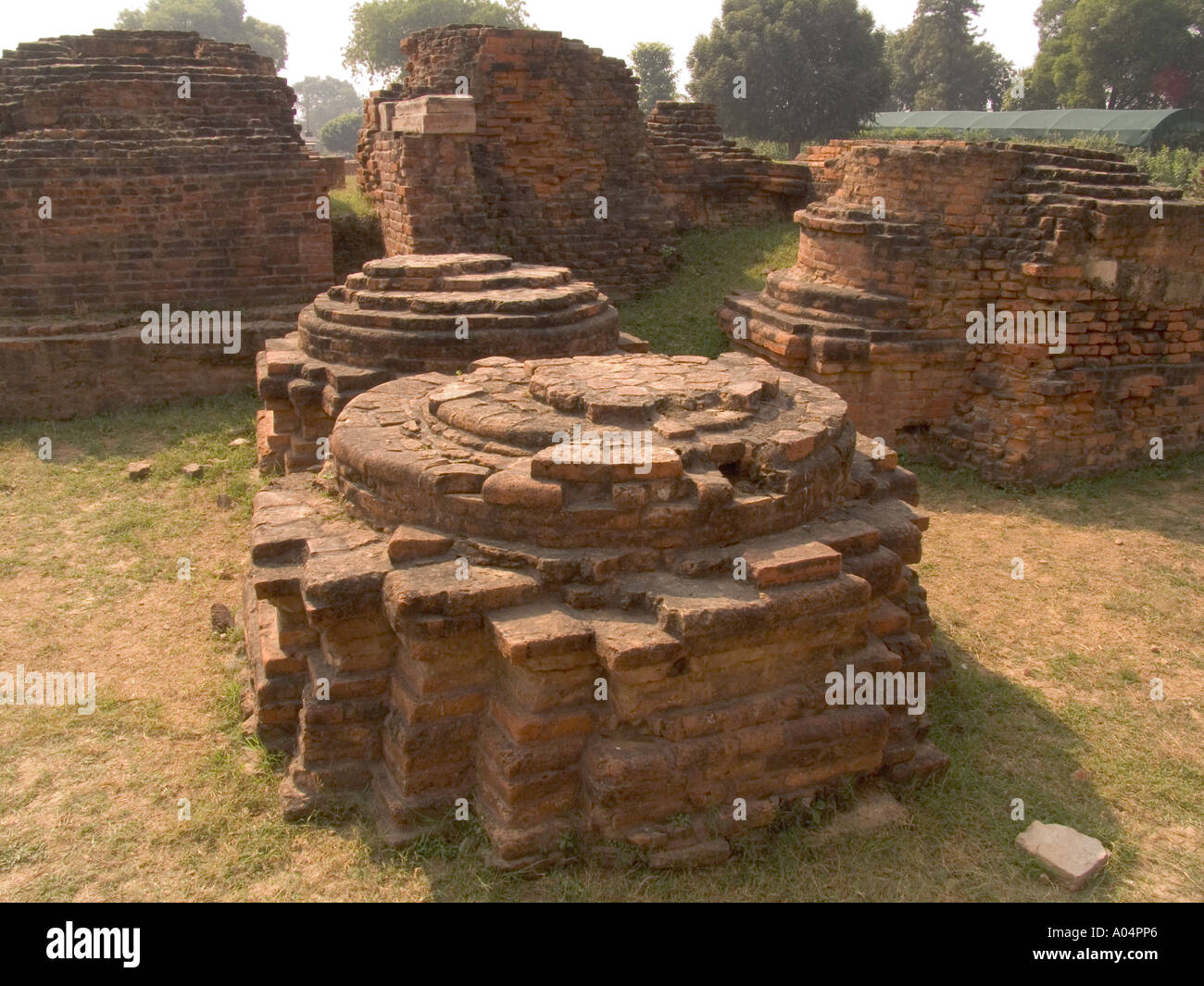 Ashoki hi-res stock photography and images - Alamy