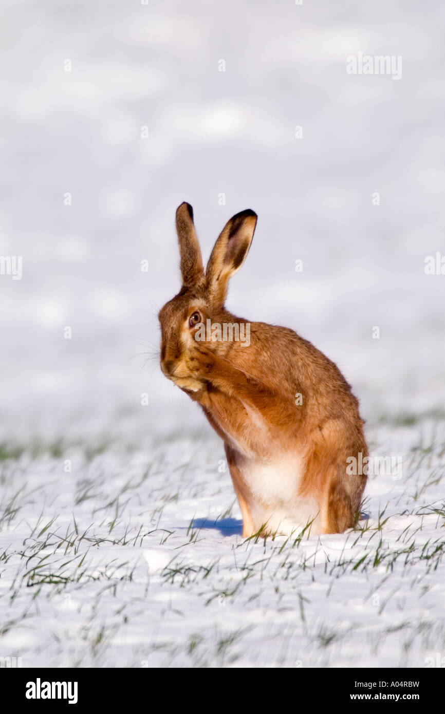 History pic hi-res stock photography and images - Alamy