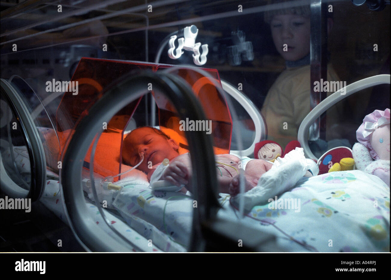 BABY FELICITY IN INCUBATOR watched by brother dominic PHOTOGRAPHERS ...