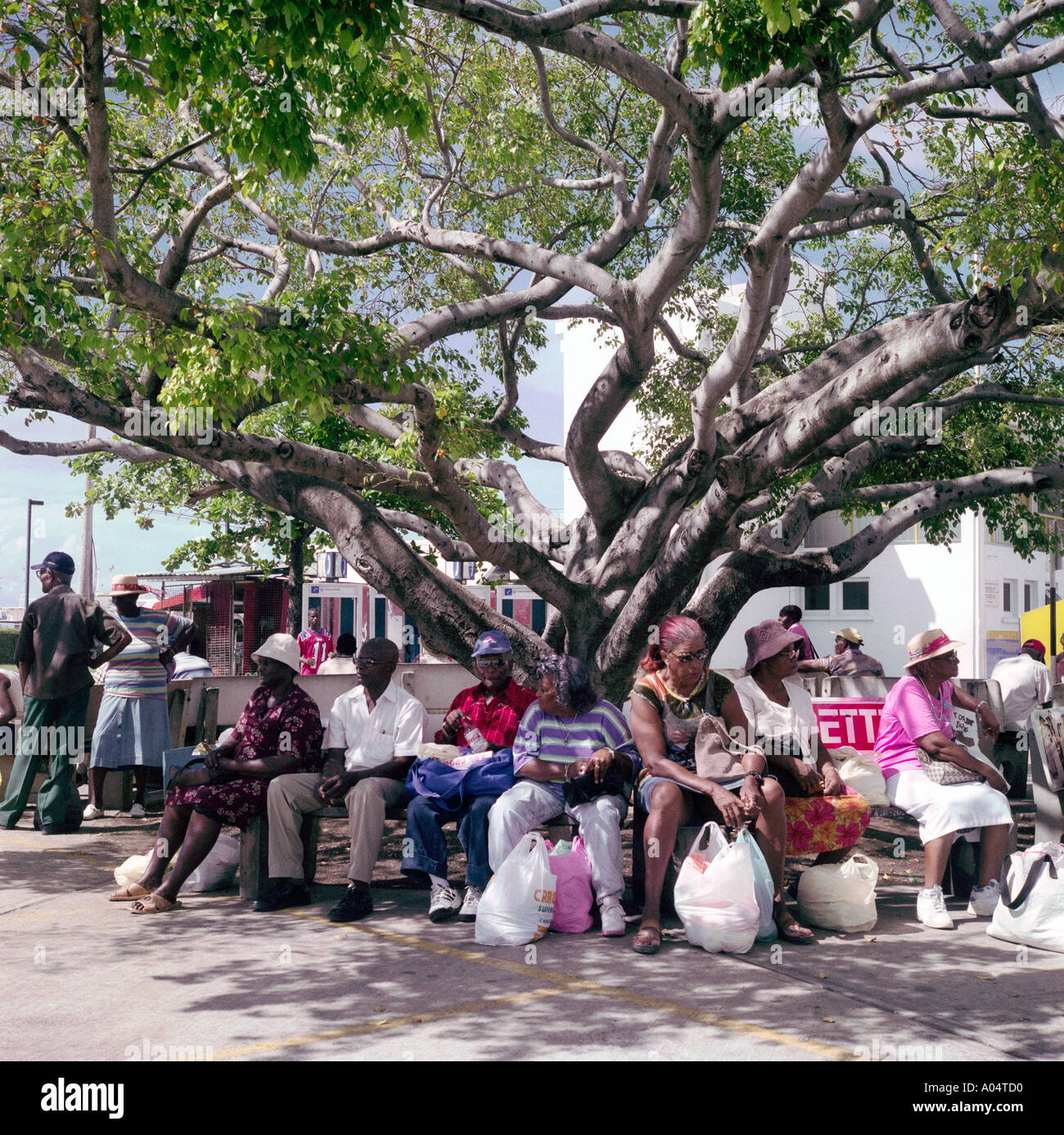 Waiting For Bus Bridgetown Barbados People Stock Photo - Alamy