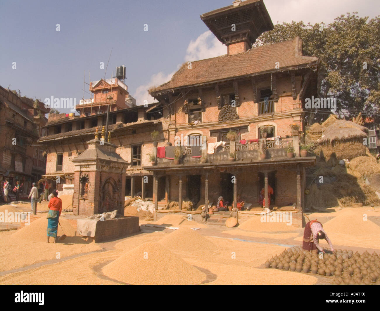 Drying Out Rice High Resolution Stock Photography and Images - Alamy