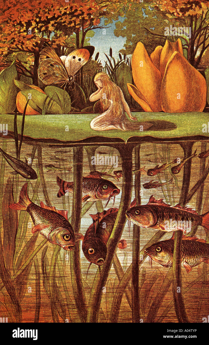 THUMBELINA on her lily-leaf raft in this 1872 illustration of Hans ...