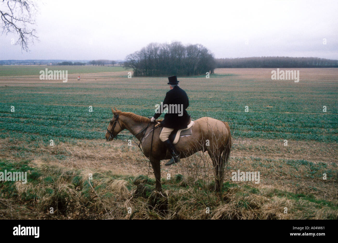 Fox gone to ground hi-res stock photography and images - Alamy