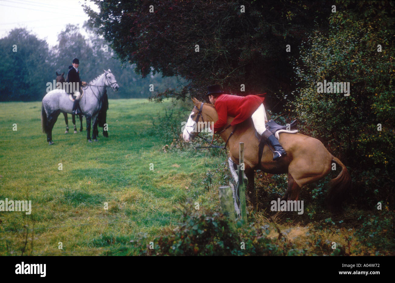 Fox Hunting England Stock Photo - Alamy