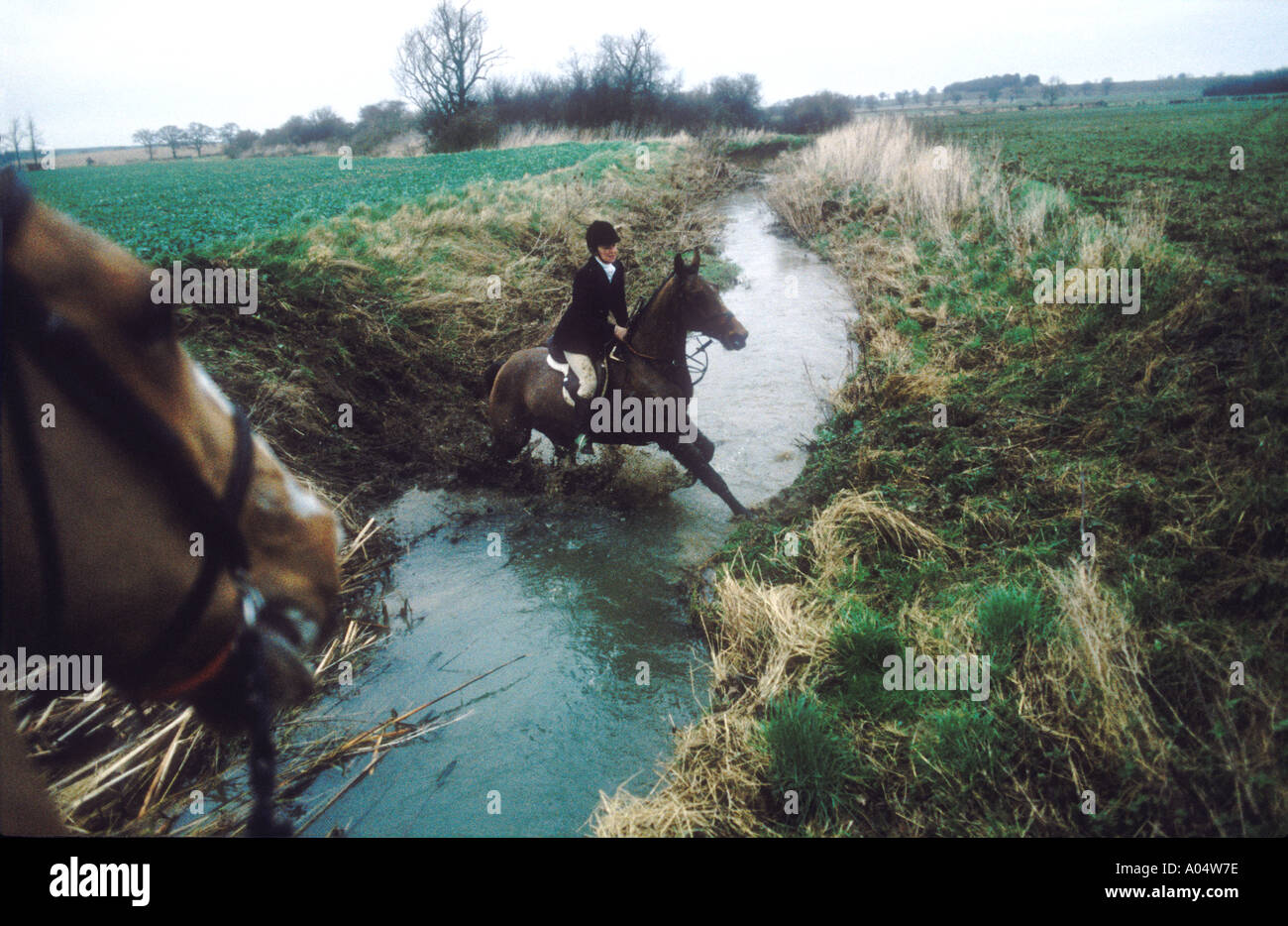 Fox Hunting England Stock Photo - Alamy