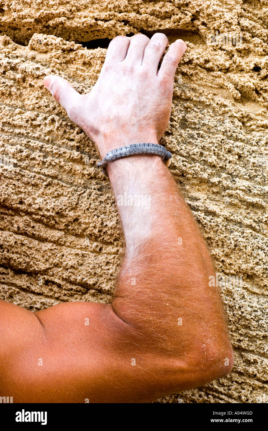 Forearm and hand of a Rock Climber Stock Photo - Alamy