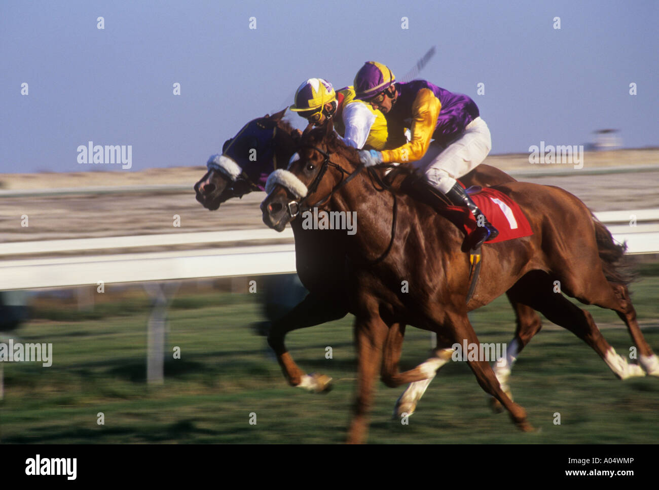Muslim horse racing hi-res stock photography and images - Alamy