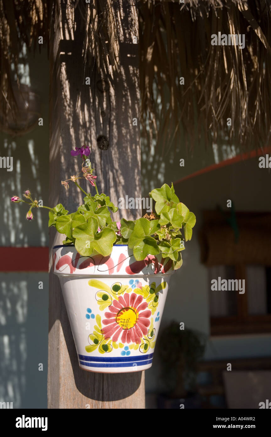 A Sunny Flower Pot Stock Photo - Alamy