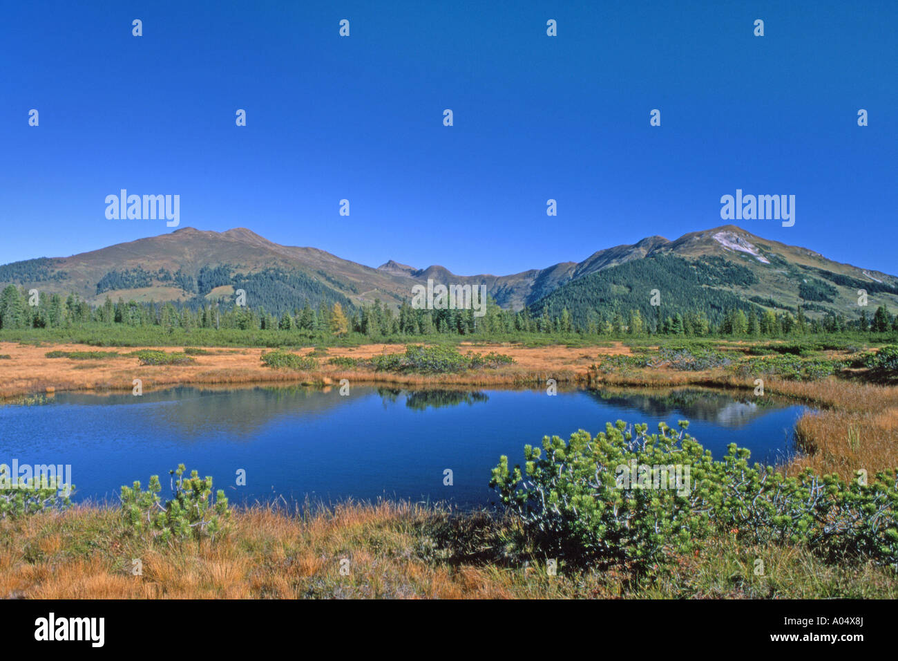 The nature reserve Sieben Moeser Austria Tyrol June Stock Photo - Alamy