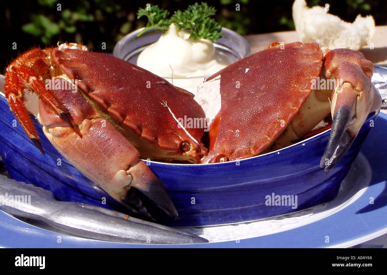 full frame fresh crab with large claws blue ceramic boat dish claw ...