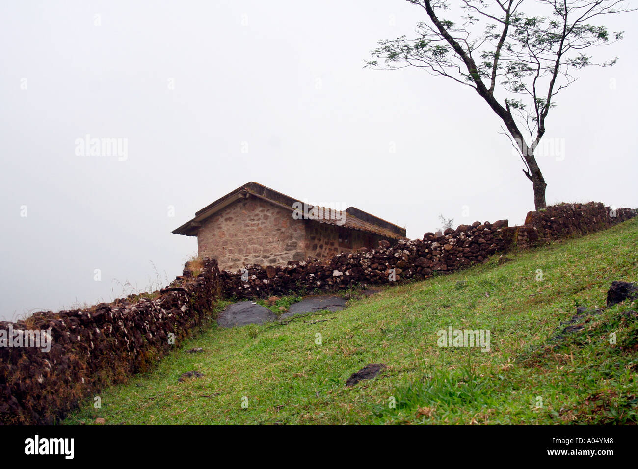 A farm house at Munnar in Kerala Stock Photo - Alamy