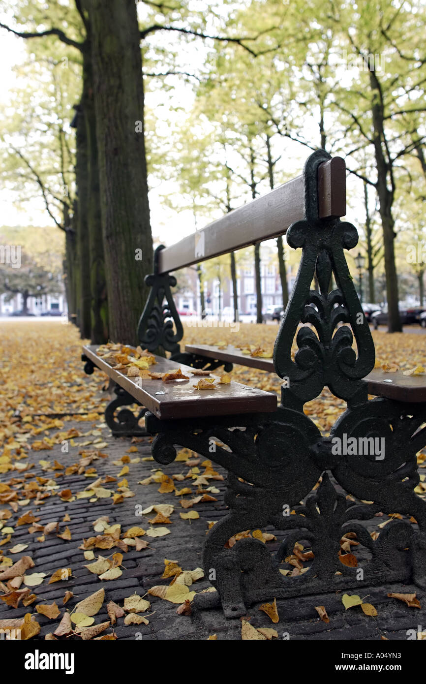 Park Bench in Den Haag (The Hague) Holland Stock Photo - Alamy