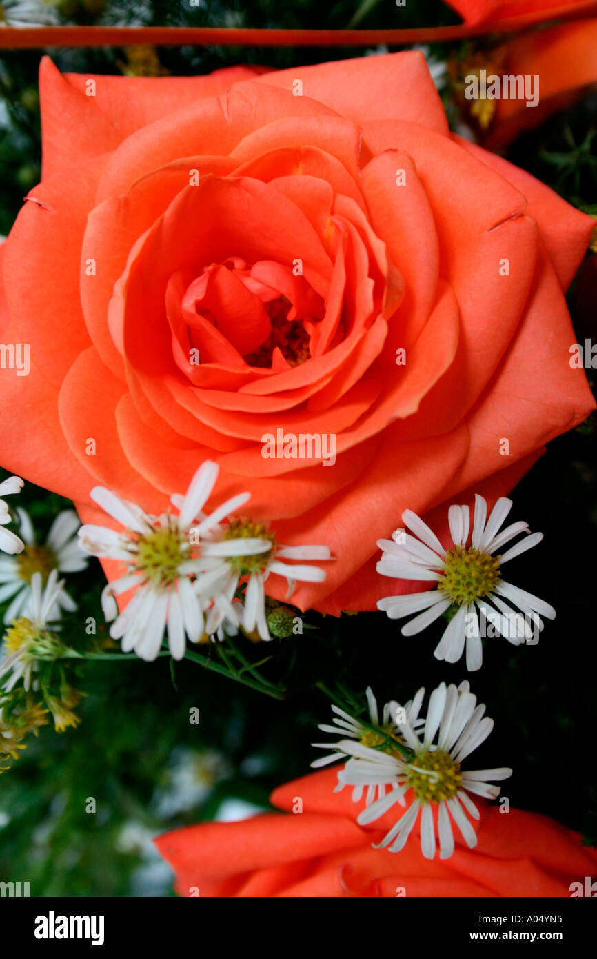 A red rose forms a part of a bouquet Stock Photo - Alamy