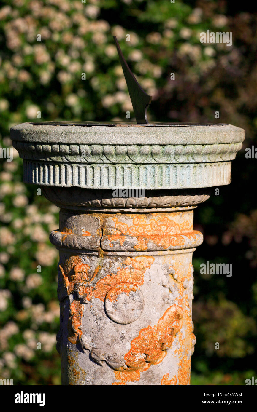 Sundial and the bush in Wakehurst England Stock Photo - Alamy