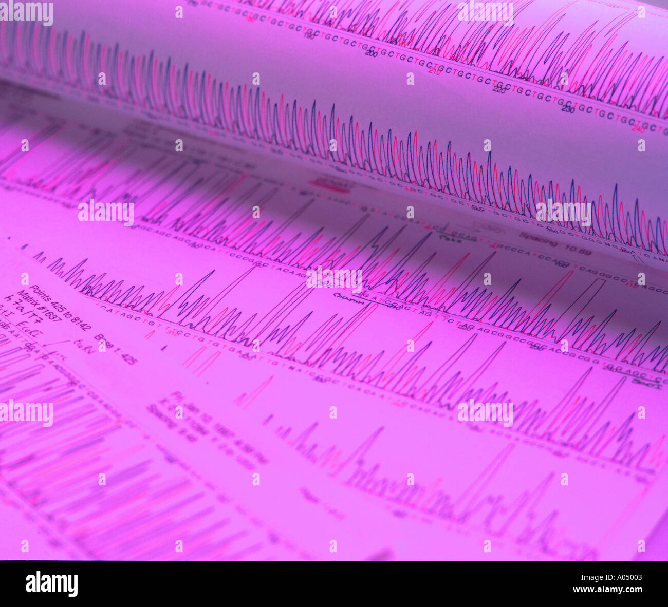 Watson and crick with dna model hi-res stock photography and images - Alamy