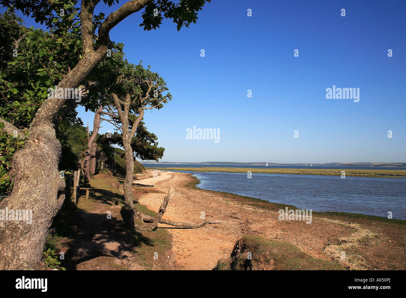 Lymington beach hi-res stock photography and images - Alamy