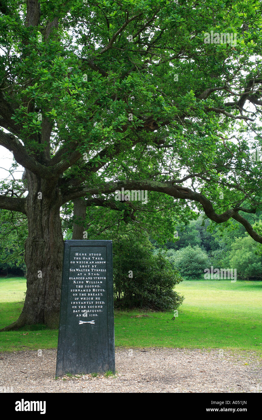 Rufus Stone New Forest National Park Hampshire England Stock Photo - Alamy