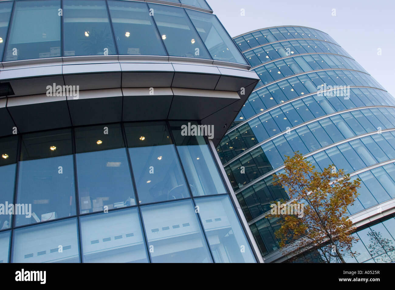 Autumn leaves and trees outside modern building on the South Bank of ...