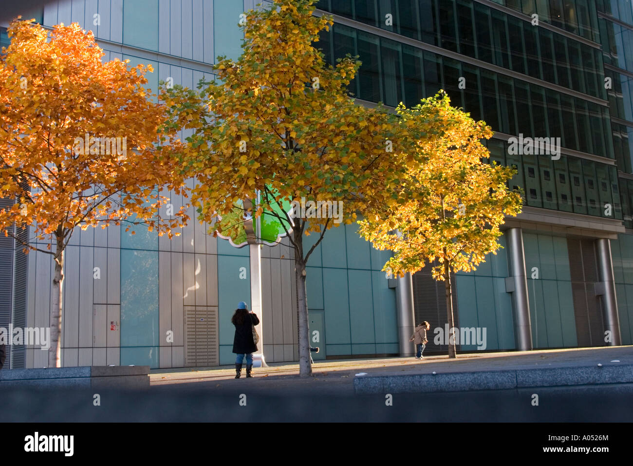 Autumn leaves and trees outside modern building Stock Photo - Alamy
