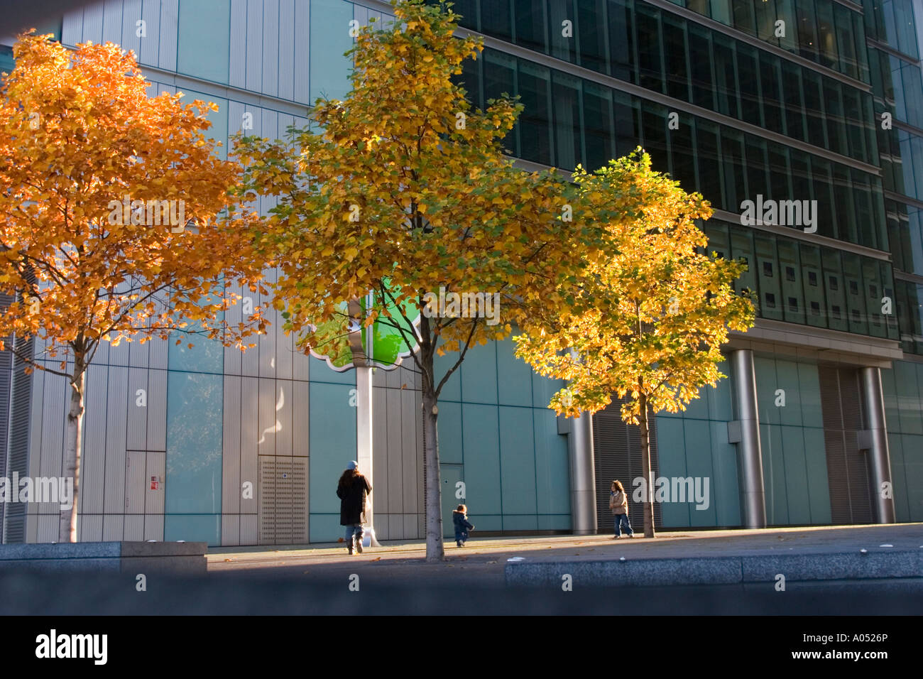 Autumn leaves and trees outside modern building Stock Photo - Alamy
