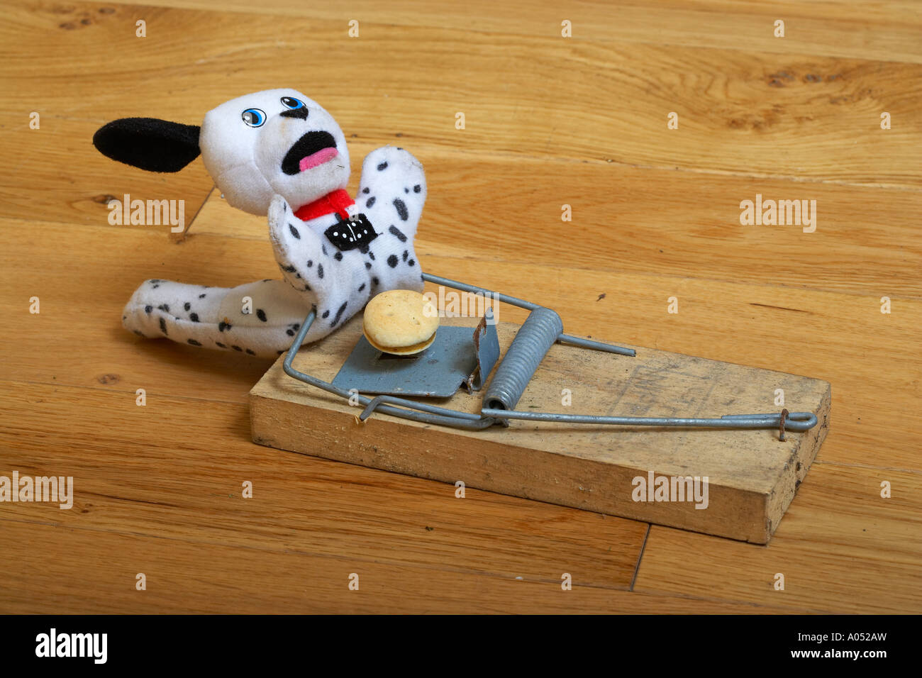 Toy Caught in Mouse Trap Stock Photo - Alamy