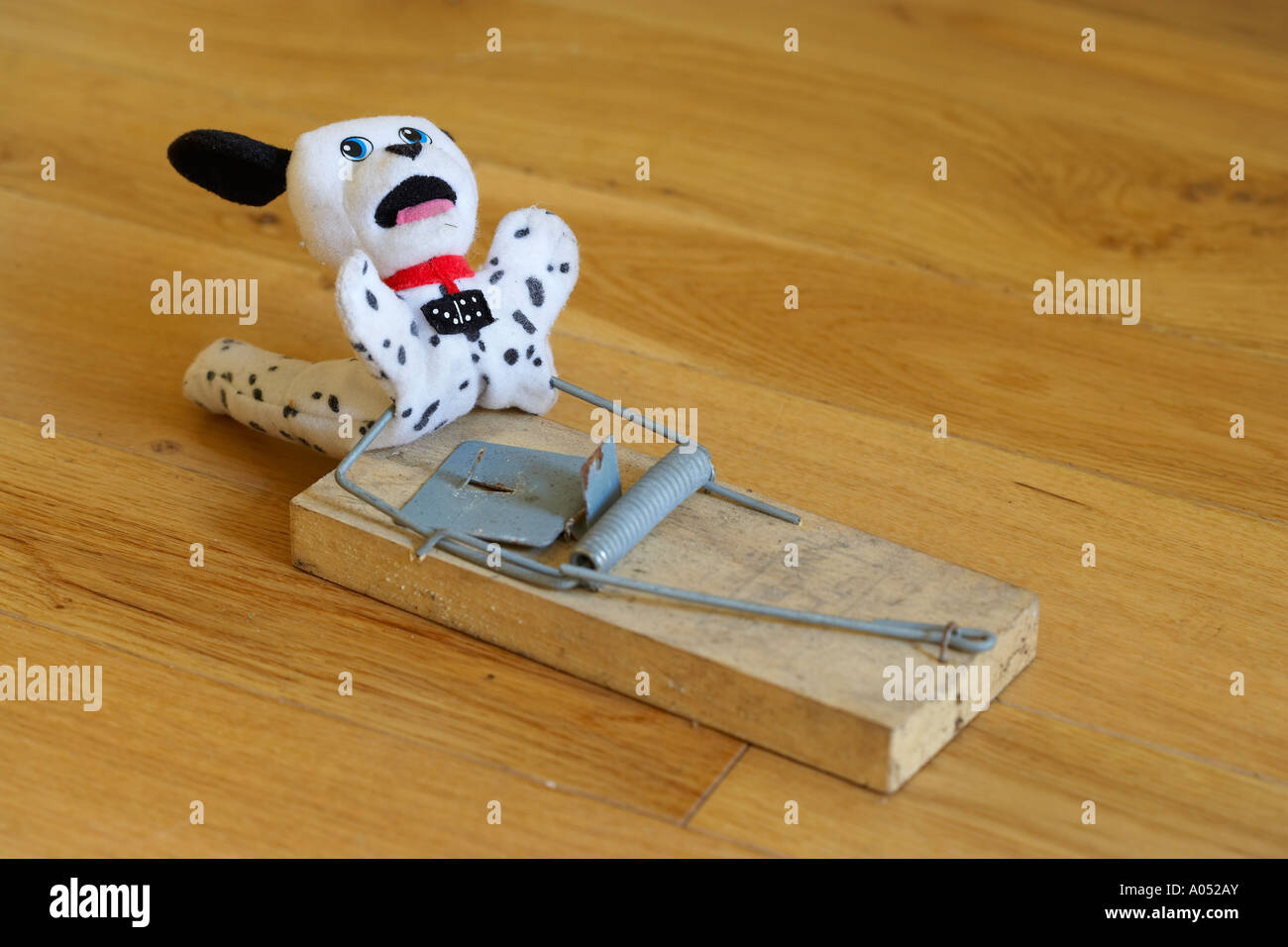 Toy Caught in Mouse Trap Stock Photo - Alamy Toy Caught in Mouse Trap Stock Photo - Alamy