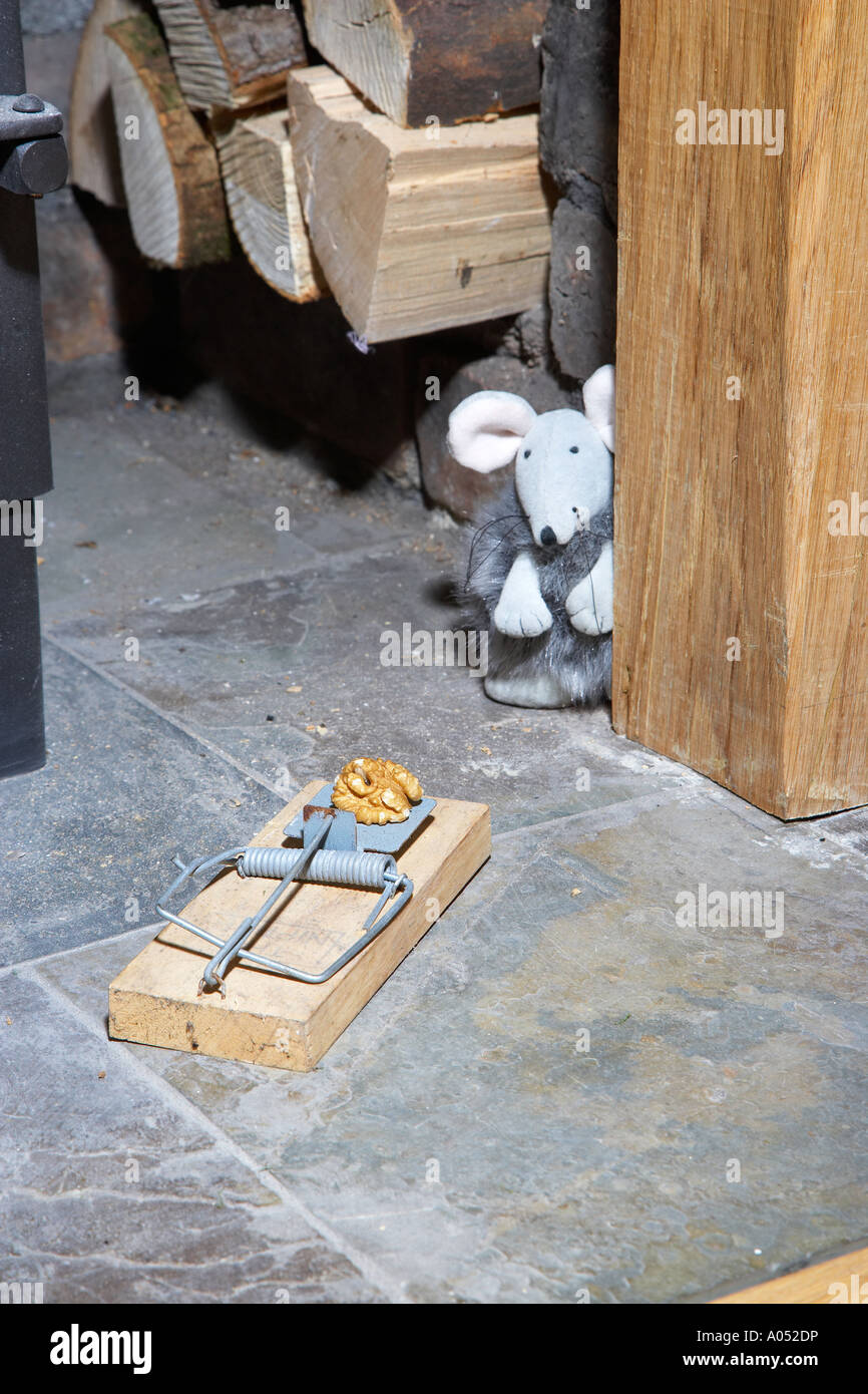 Funny mouse trap hi-res stock photography and images - Alamy