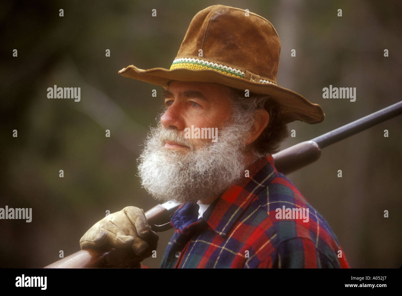 Carrying a rifle over his shoulder, hunter looks into the woods for a ...