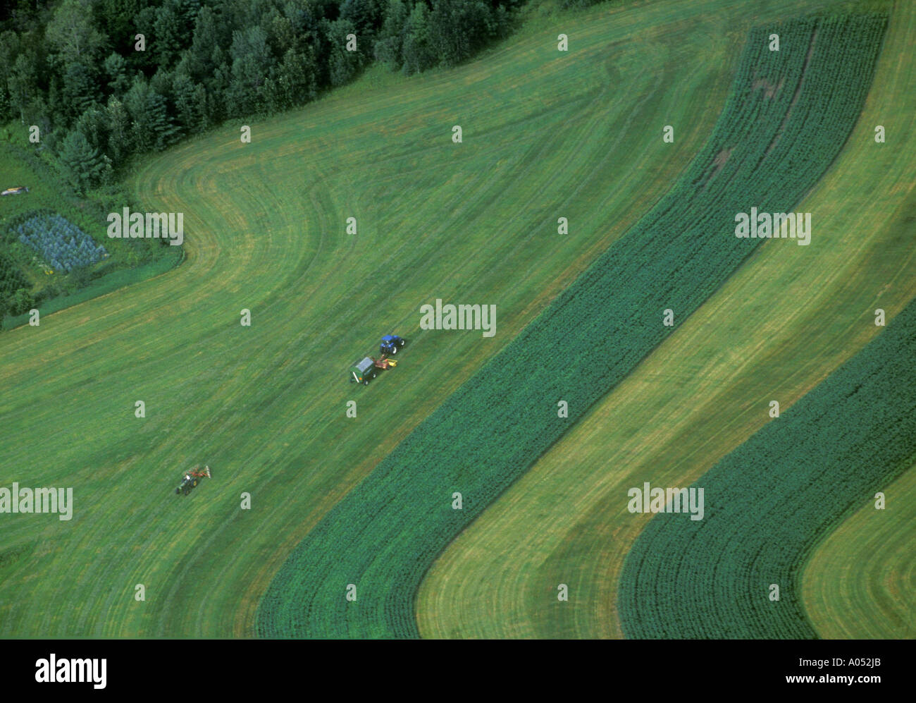 A farmer gathers his crops, as patterns of different color flow in ...