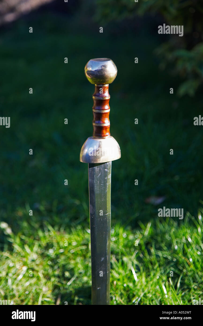 Gladius hi-res stock photography and images - Alamy