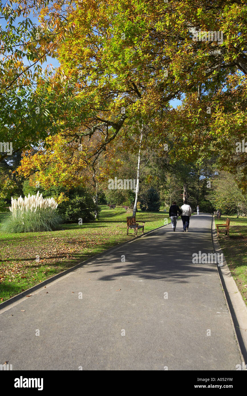 Clyne park hi-res stock photography and images - Alamy