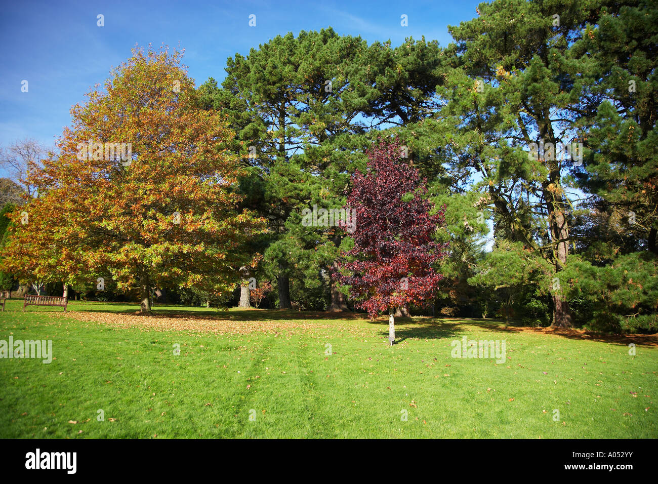 Clyne gardens park swansea wales hi-res stock photography and images ...
