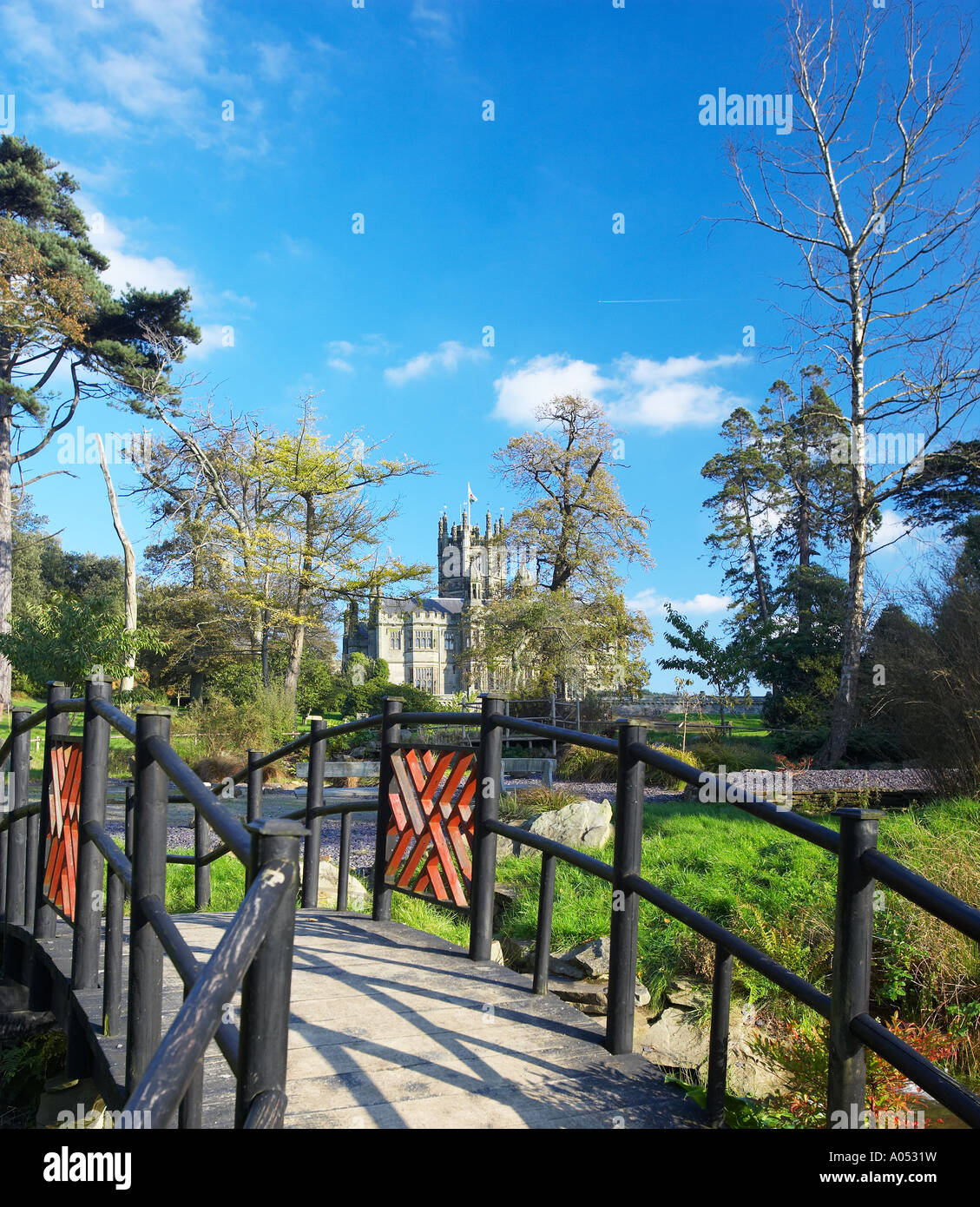 Margam orangery hi-res stock photography and images - Alamy