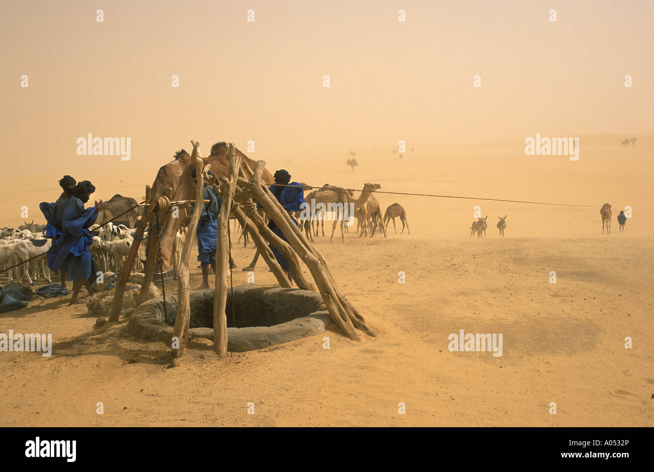 Tuareg traders pulling water from a well, Great Sahara Mali, Africa ...