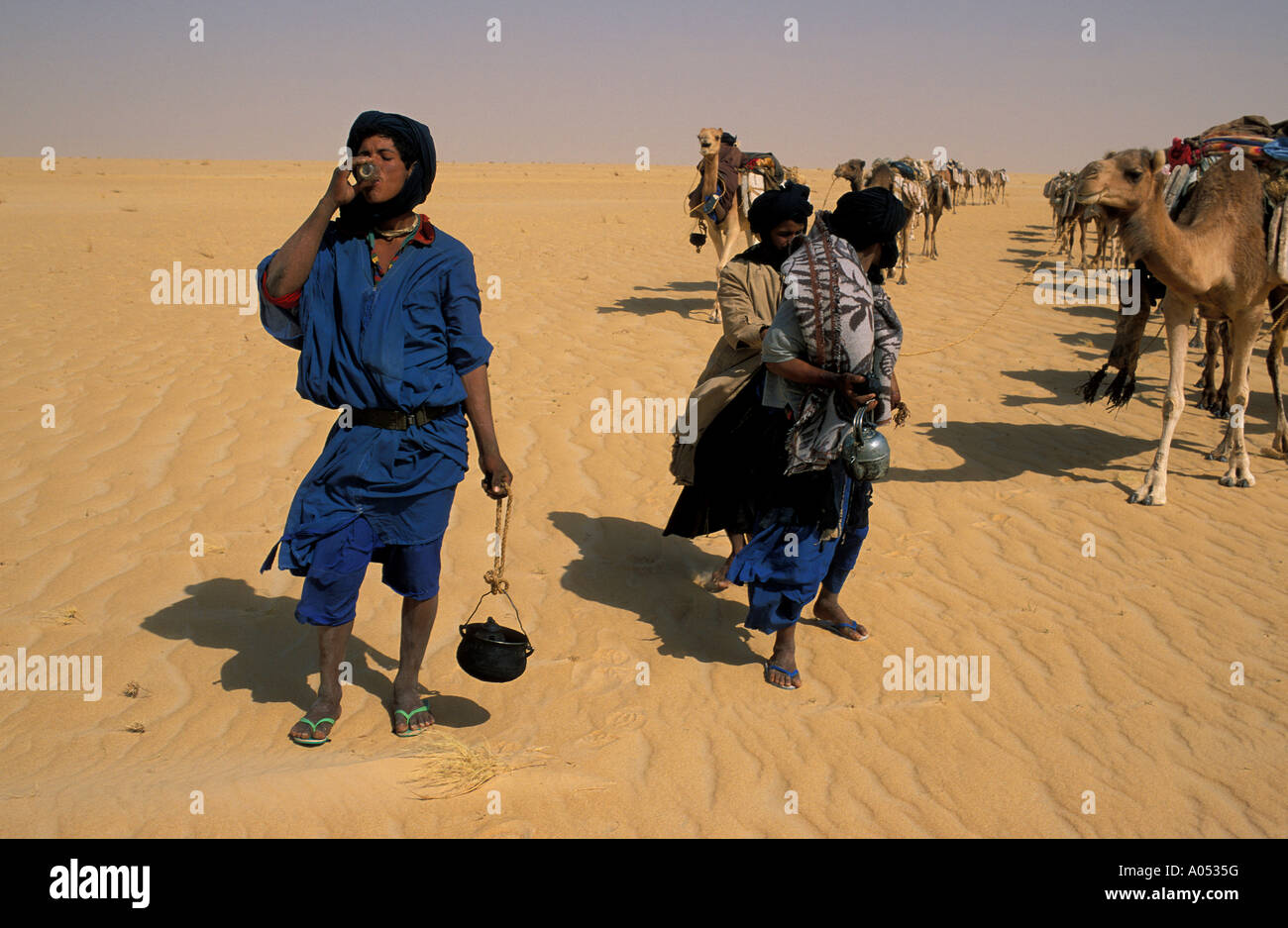Tuareg Salt Caravan in Great Sahara desert traveling from Taodeni to ...