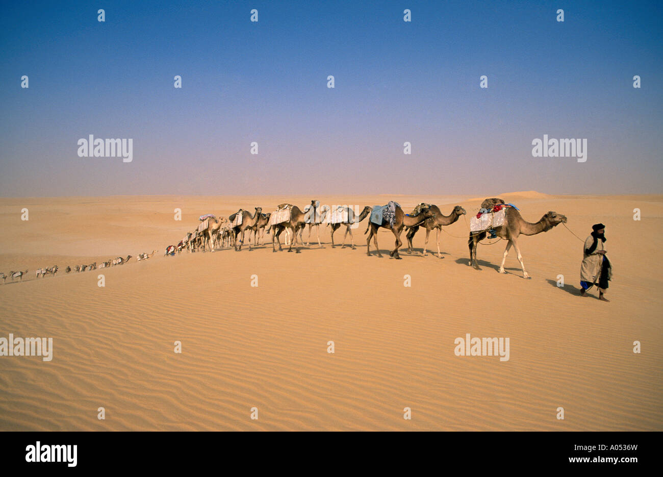 Salt Caravan in Great Sahara Mali, Africa Stock Photo - Alamy