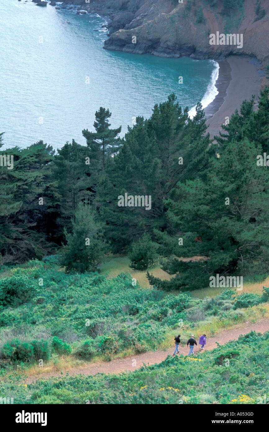 three people walking along the Bay Trail through trees near the ocean ...
