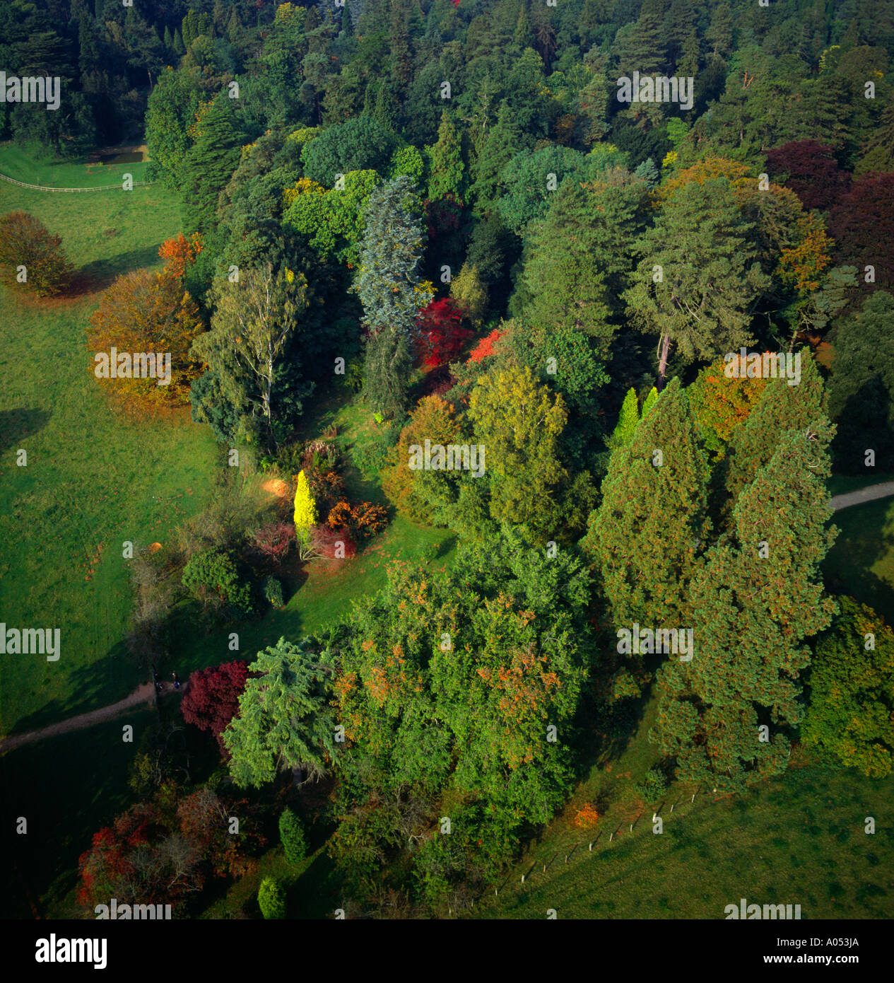 Westonbirt arboretum aerial hi-res stock photography and images - Alamy