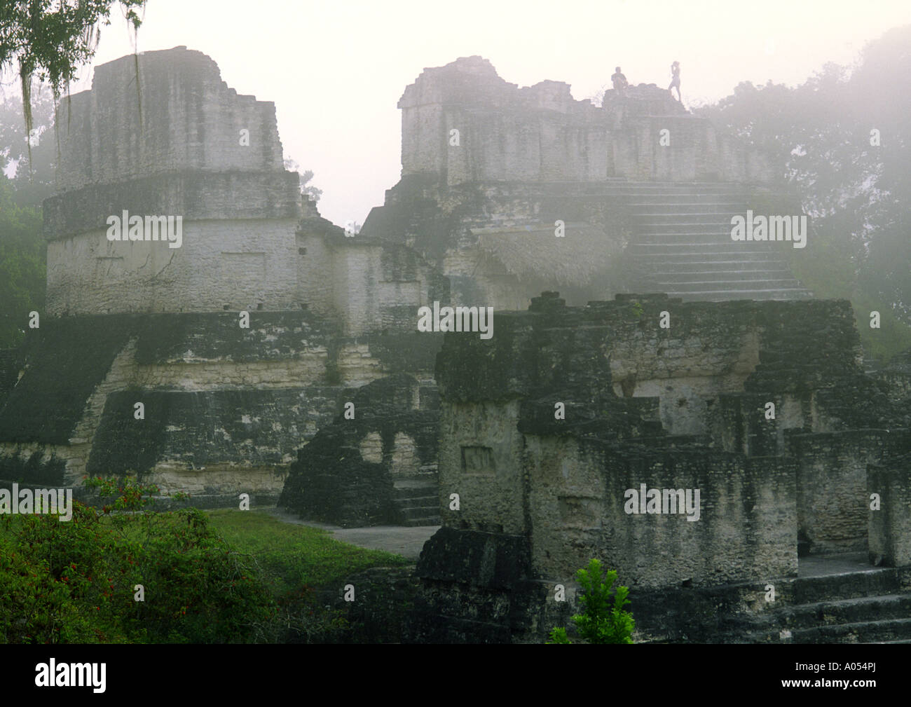 North Acropolis in fog, Tikal, El Petén, Guatemala Stock Photo - Alamy