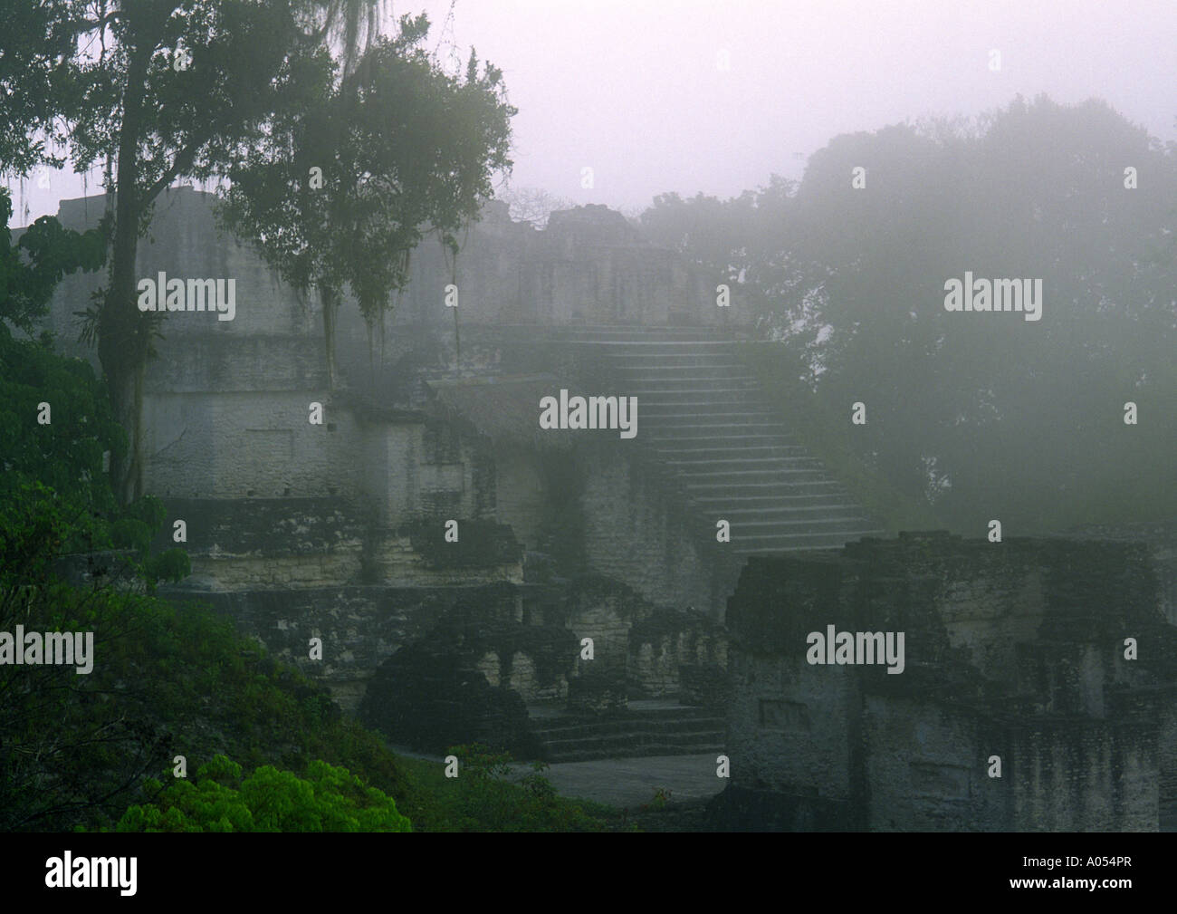 North acropolis maya ruins tikal hi-res stock photography and images ...