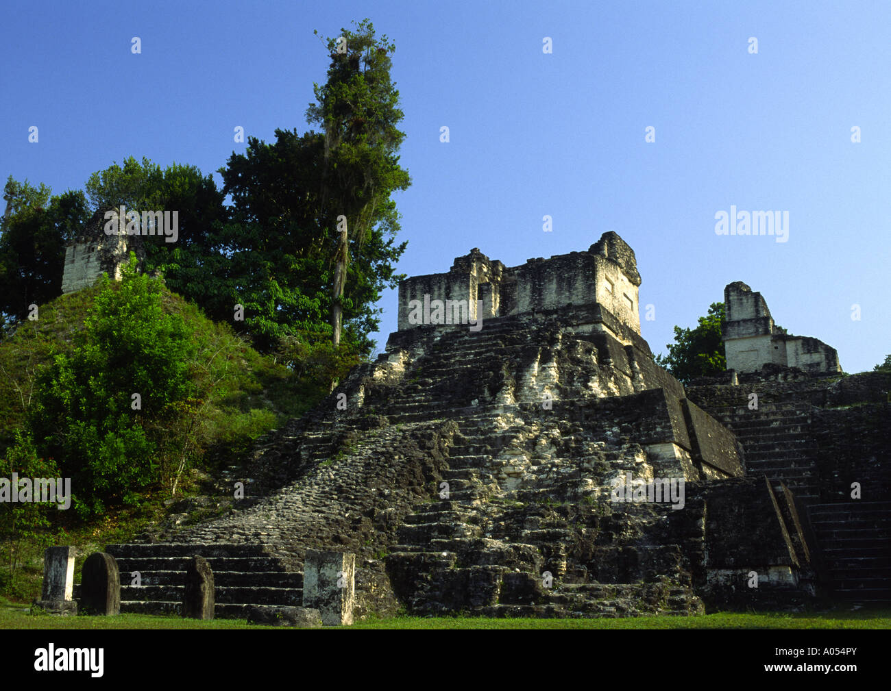 North Acropolis, Tikal, El Petén, Guatemala Stock Photo - Alamy