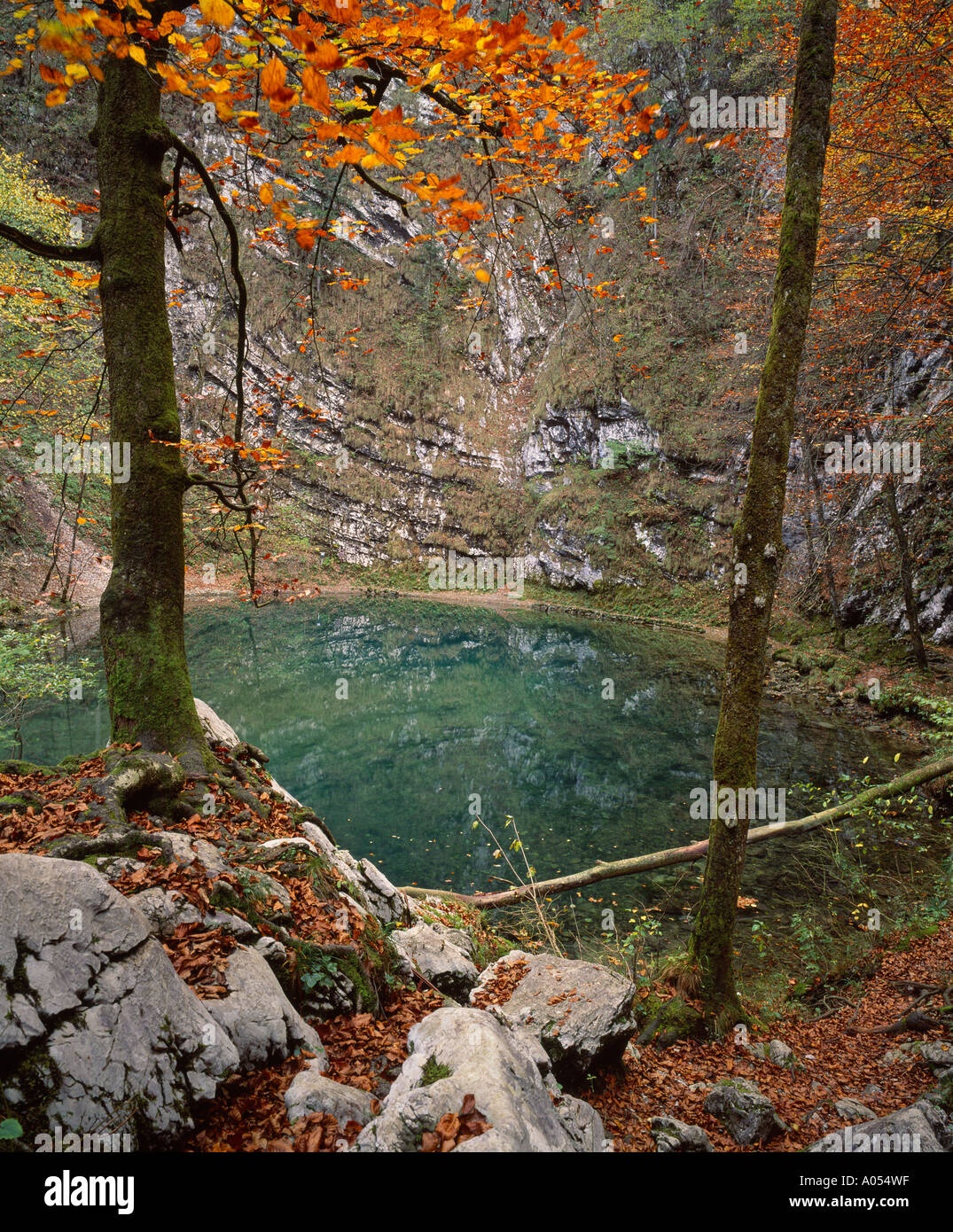 Divje jezero hi-res stock photography and images - Alamy