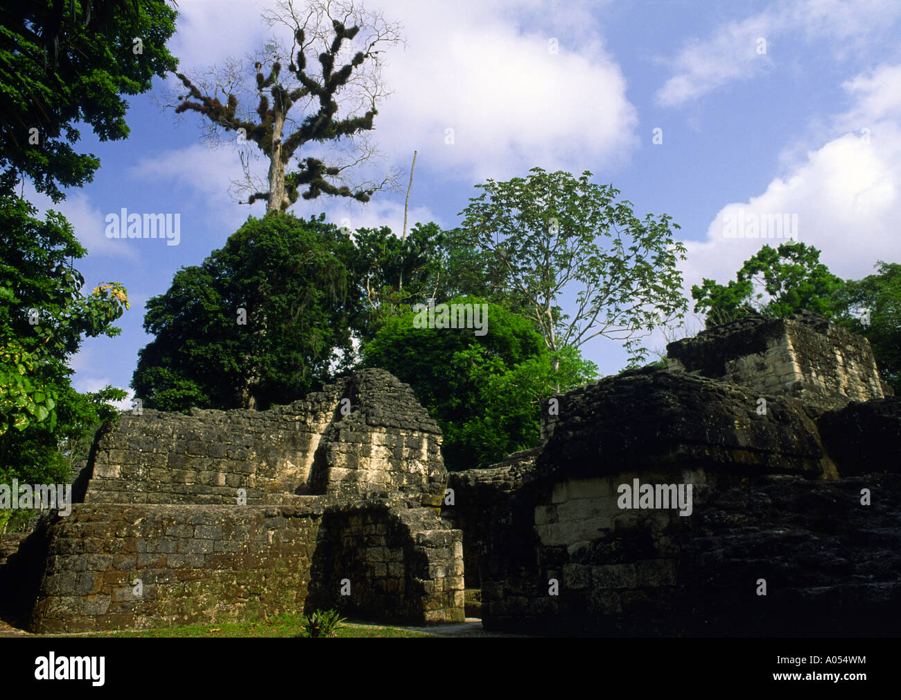 Small Pyramid in El Mundo Perdido, Tikal, El Petén, Guatemala Stock ...