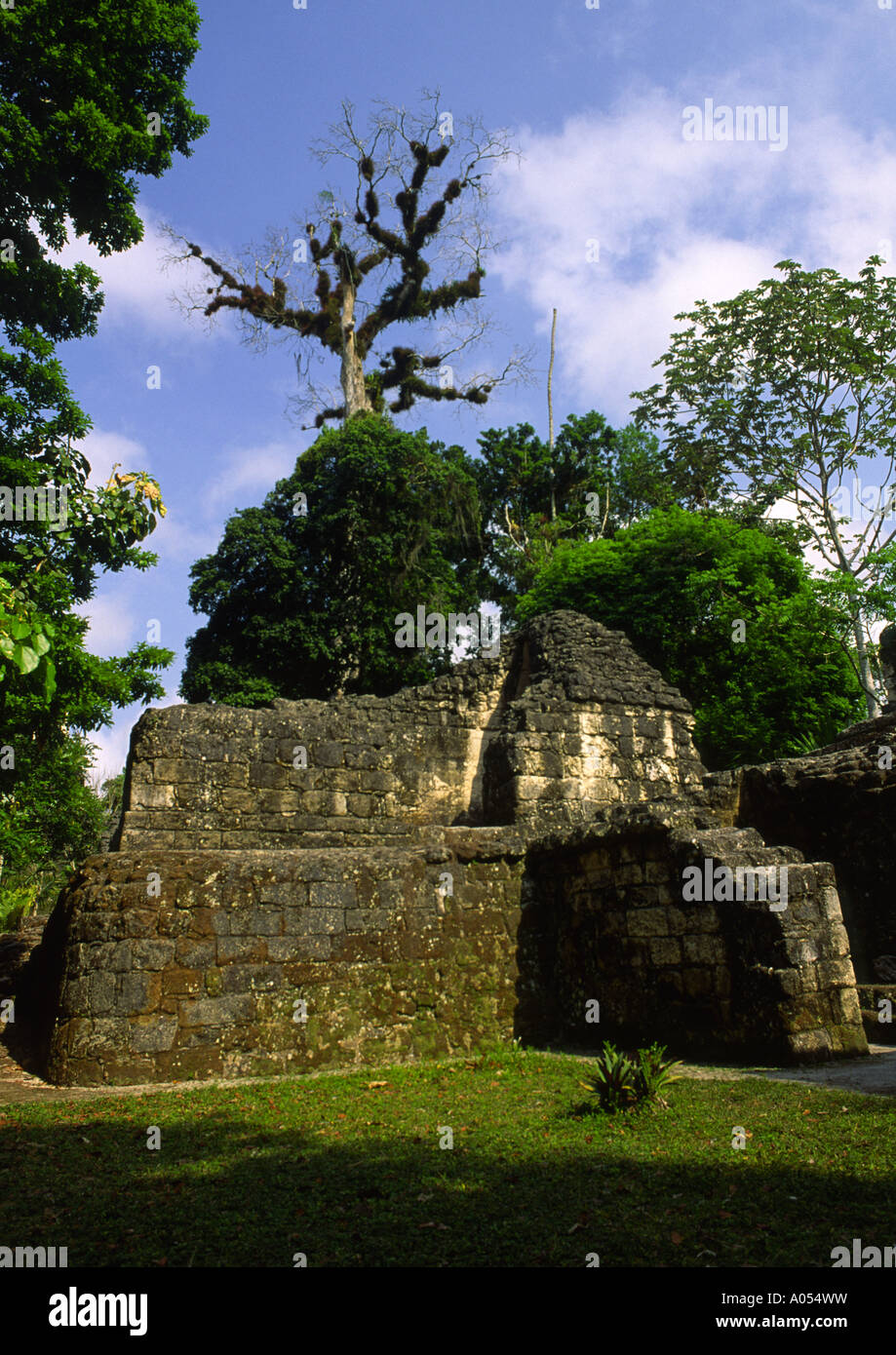 Small Pyramid in El Mundo Perdido, Tikal, El Petén, Guatemala Stock ...