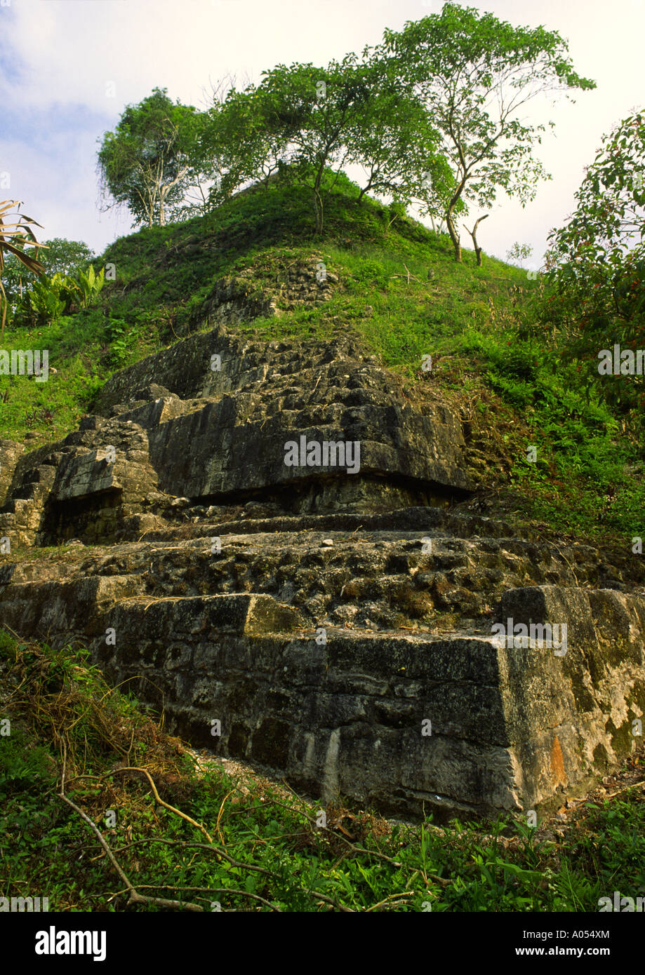 Overgrown Pyramid in El Mundo Perdido, Tikal, El Petén, Guatemala Stock ...