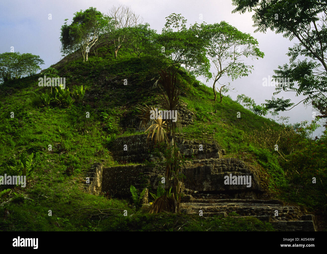 Mundo perdido tikal national park hi-res stock photography and images ...